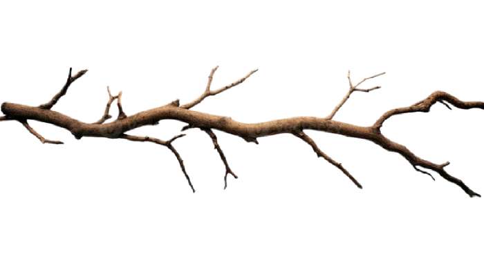 Git Branching Overview - DevOps Cloud Junction